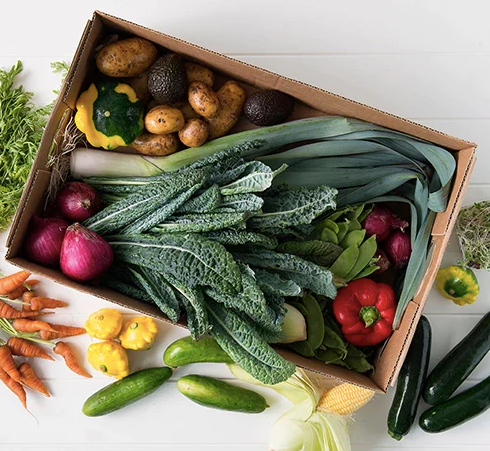 Build a Fruit and Vege Abundance Box- ADD ME TO YOUR CART – Kākāriki ...